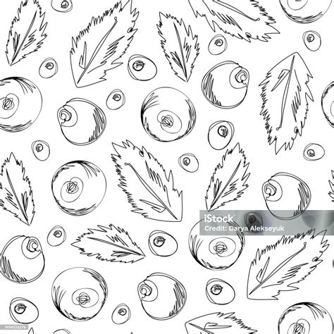 블루 베리의 원활한 패턴 열매가있는 배경 벡터 일러스트 레이 션 손으로 그린 0명에 대한 스톡 벡터 아트 및 기타 이미지 0명 건강한 식생활 과일 Istock