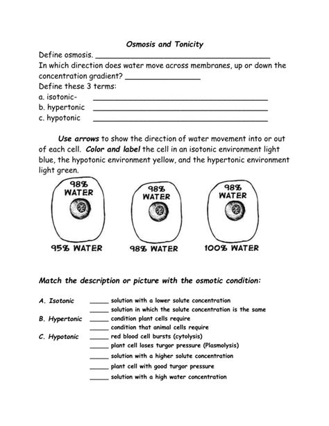 Osmosis And Tonicity Worksheet — Db