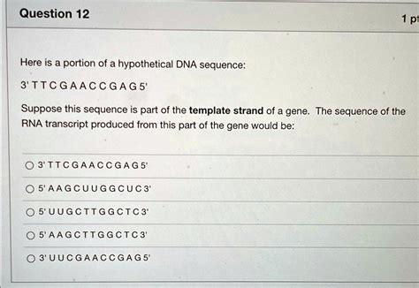 Solved Question 12 Here Is A Portion Of A Hypothetical Dna Sequence 3