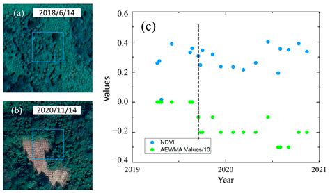 Forests Free Full Text Detection Of Forest Disturbances With Different Intensities Using