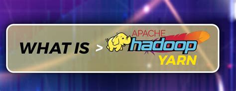 XpertLab Website Designing Company Junagadh Website Development Company Junagadh Software