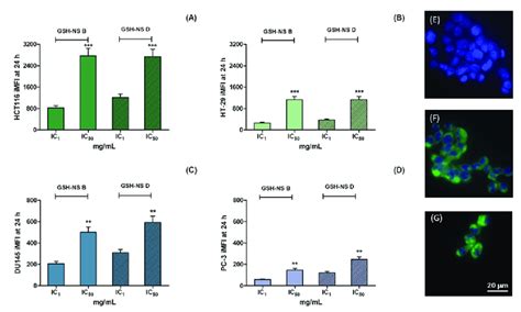 Fluorescent Glutathione Responsive β Cyclodextrin Based Nanosponge Download Scientific Diagram