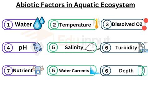 Unit 8l3 Ecosystems Biotic Abiotic Factors Mr