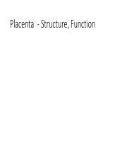 Understanding Placenta Development Structure Functions Course Hero