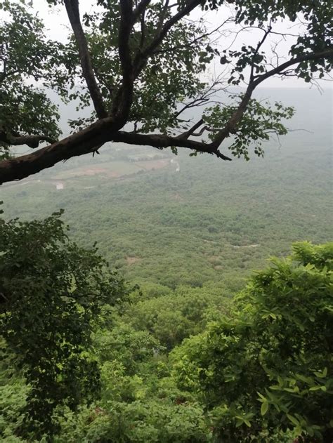 Maihar Devi Devi Nature Outdoor