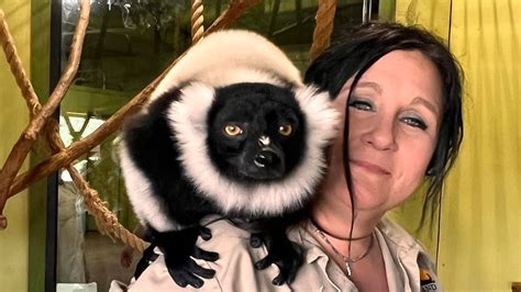 Bransons Ultimate Excursions Promised Land Zoo
