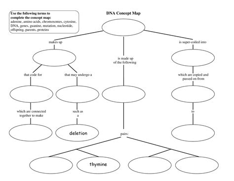 Complete Dna Concept Map With Key Terms Schemes And Mind Maps