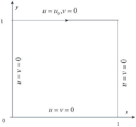 Lid Driven Flow Download Scientific Diagram