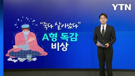 6 독감a형b형