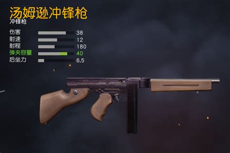 当吃鸡的所有枪都没有后坐力，菜鸟选它，而大神非它不用！伤害