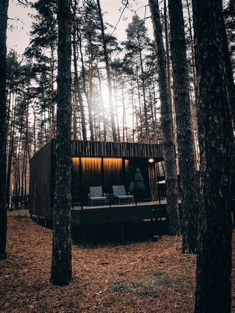 나무로 둘러싸인 숲 한가운데에 있는 통나무집 사진 Unsplash의 무료 릴렉스 파크 버홀리 이미지