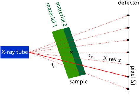 Schematic Diagram Of The Slice From Figure 1 Both The Focus Of The Download Scientific Diagram