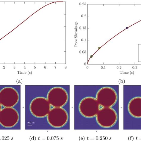 The Contributions Of Surface And Grain Boundary Diffusion To Pore