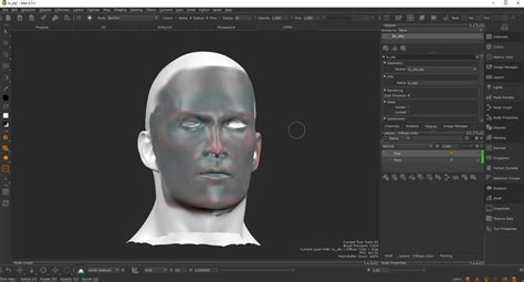 Skin Texturing And Detailing