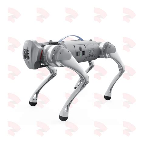 Go1 Robot For Rental For Events Exhibitions In The Middle East