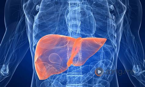 Элэгний хорт хавдрын эмчилгээний төлбөрийг ЭМД ын сан хариуцна