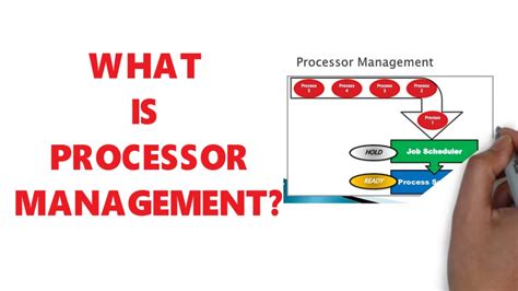 Processor Management System Fetishsabas