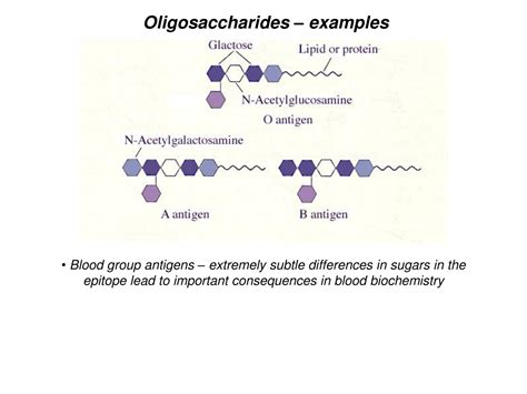 Ppt Exploring Carbohydrates Structures Forms And Reactions