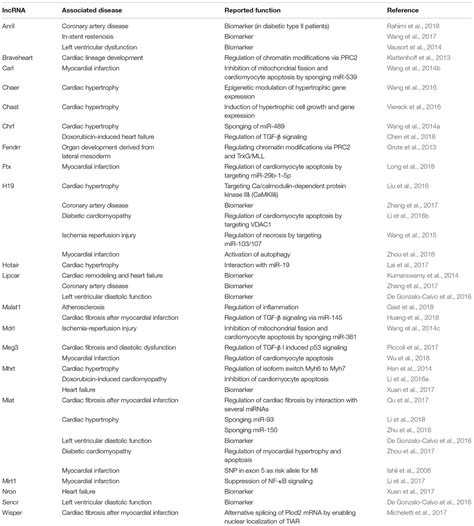 Frontiers Long Non Coding Rnas At The Heart Of Cardiac Dysfunction