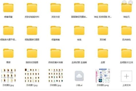 Ai科研绘图300 ！绘制符合sci要求的无限高清矢量图！超清，可直接使用 知乎