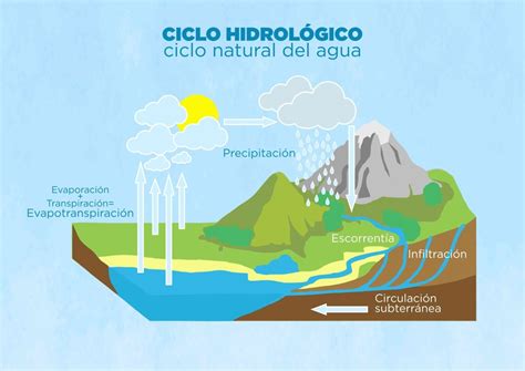 Ciclo Del Agua Qué Es Características Etapas Y Dibujo Iifbi