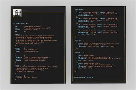 Free PSD Resume CV Template For Programmers Behance