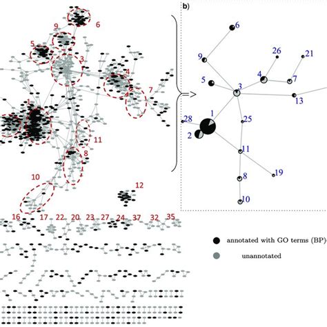 Visualization Of The Gene Network A The Gene Network Obtained From Download Scientific