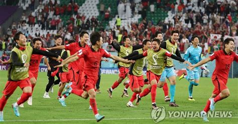 월드컵 여야 기적 선물자랑스럽다한목소리 축하·응원