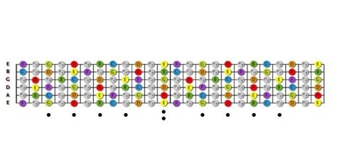 Guitar Fretboard Diagram Understanding The Guitar Fretboard Diagrams