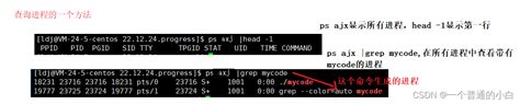 【linux进程】进程的基本概念，fork的使用，各种状态的含义，孤儿和僵尸进程的含义linux Fork子进程 僵尸进程 Csdn博客