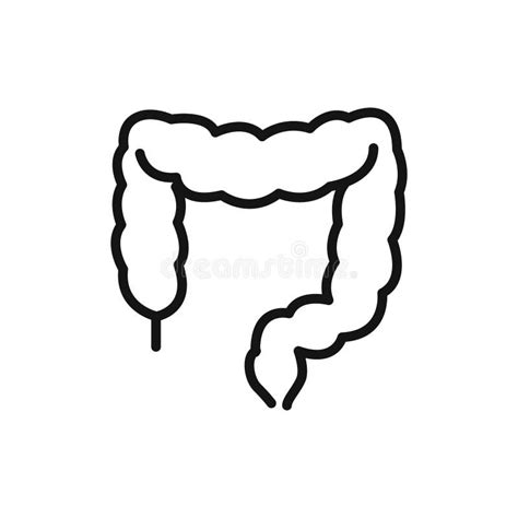 Large Intestine Icon Linear Vector Graphics Sign Stock Vector