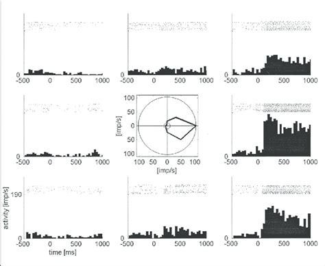 Example Of A Directionally Selective Response Of A Single Macaque V5 Download Scientific