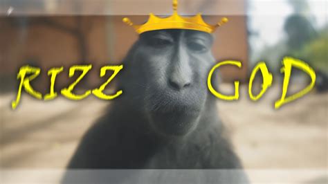 Monkey Rizz 4k 🐒👑 Youtube