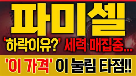파미셀 주가전망 오늘 하락한 이유 ‘이 가격부터 반등 나옵니다🔥 매집포착 Youtube