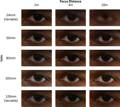Example Palpebral Fissure Recorded At Different Fds And With Different