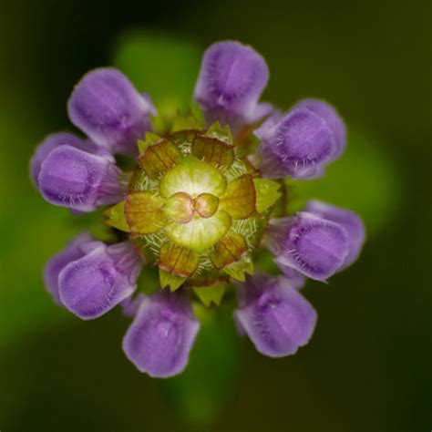 Java Programming Aptitude Testscampus Placement Test Mock Interview