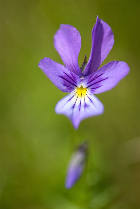 Parcul Natural Bucegi