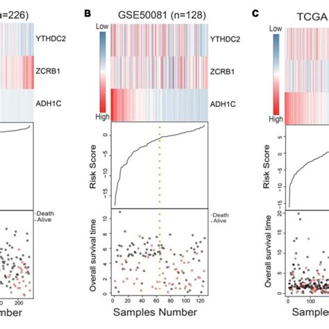 Evaluation Of The Risk Predictive Model In The Training Set And Test Download Scientific