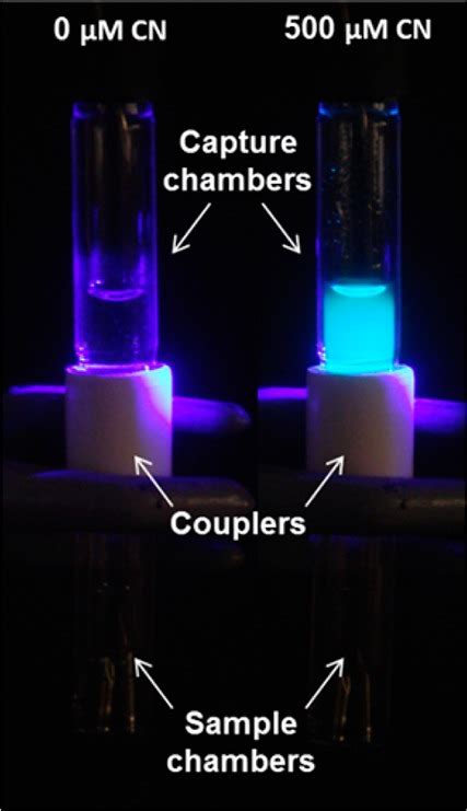 Development Of A Fluorescence Based Sensor For Rapid Diagnosis Of Cyanide Exposure Abstract
