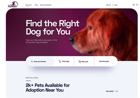 Custom Web Development Responsive Web Design Techatives