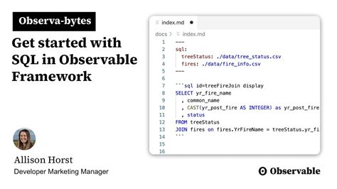 Get Started With Sql In Observable Framework Youtube