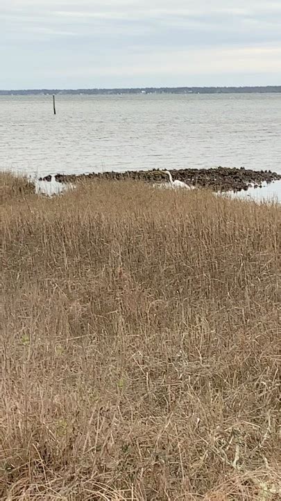 Eric Lynn On Linkedin Peaceful