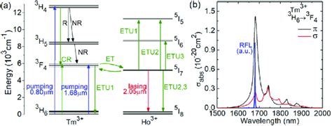 A The Scheme Of Energy Levels Of Tm 3 And Ho 3 Ions In Liyf 4