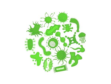 Microbial Vector Art Icons And Graphics For Free Download