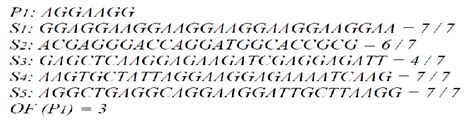 Calculating Occurrence Frequency Download Scientific Diagram