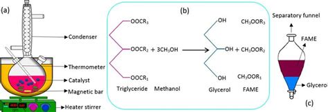 A Schematic Of The Reflux System For Wso Trans Esterification With The
