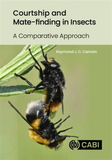 Courtship And Mate Finding In Insects A Comparative Approach Premiumjs Store