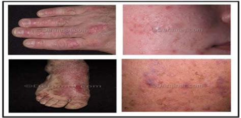 Sample Images From The Dataset Download Scientific Diagram