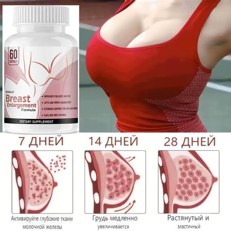 60 таблеток для увеличения женской груди, постоянного и быстрого роста ...