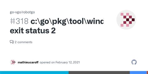 c go pkg tool windows amd64 cgo exe exit status 2 · issue 318 · go